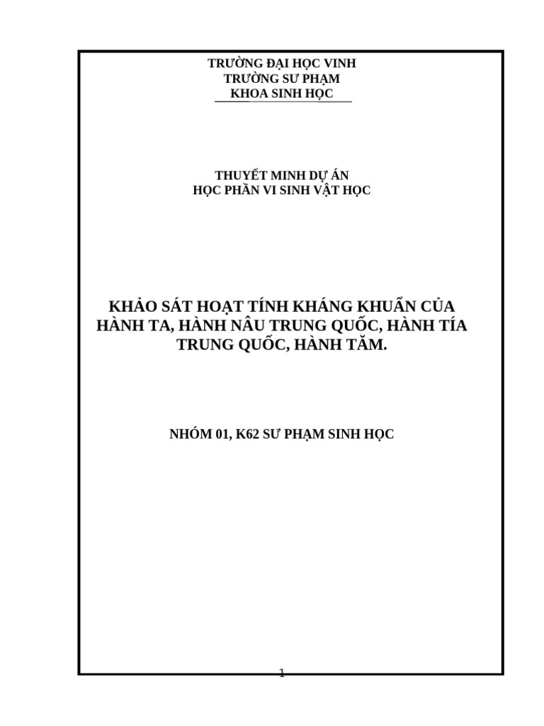Nhom 1 TM DA VSVH | PDF