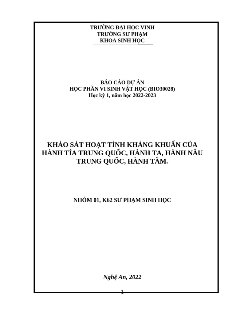Nhom1 BCDA | PDF