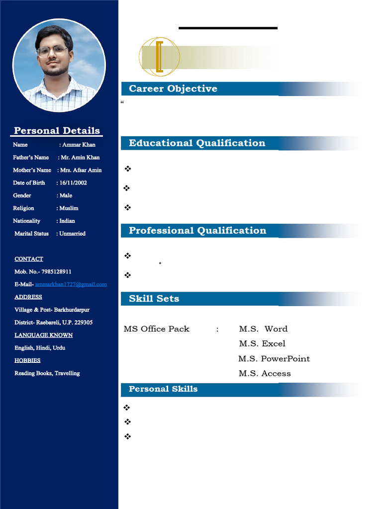 Blue Simple Professional CV Resume Conv1459 | PDF
