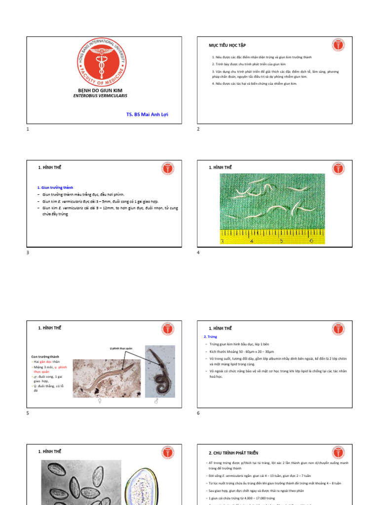Giun Kim | PDF