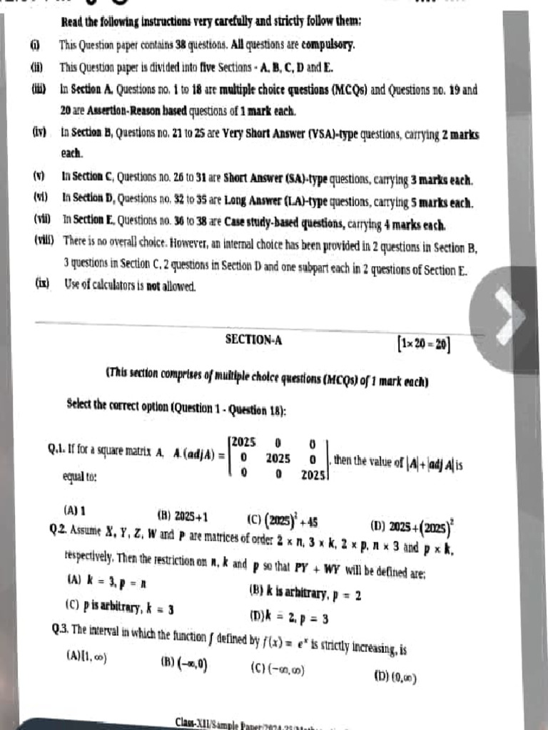 Class XII Mathematics Sample Paper 2024-25 | PDF | Euclidean Vector ...