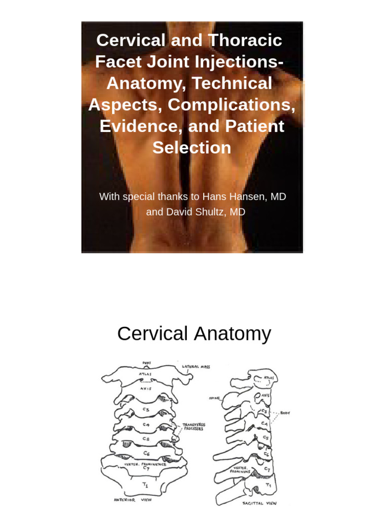 Cervical Thoraci Facet | PDF | Vertebra | Vertebral Column