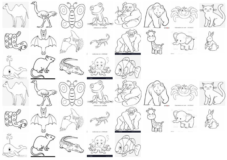 Animal Year 5 | PDF