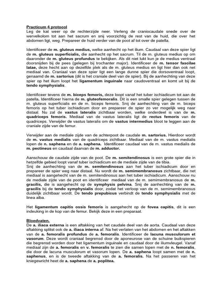 Dissectieprotocol Locomotie PR 4 | PDF