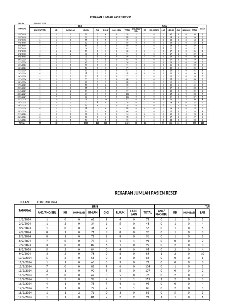 Rekap Pasien Resep Bulanan 2024 | PDF