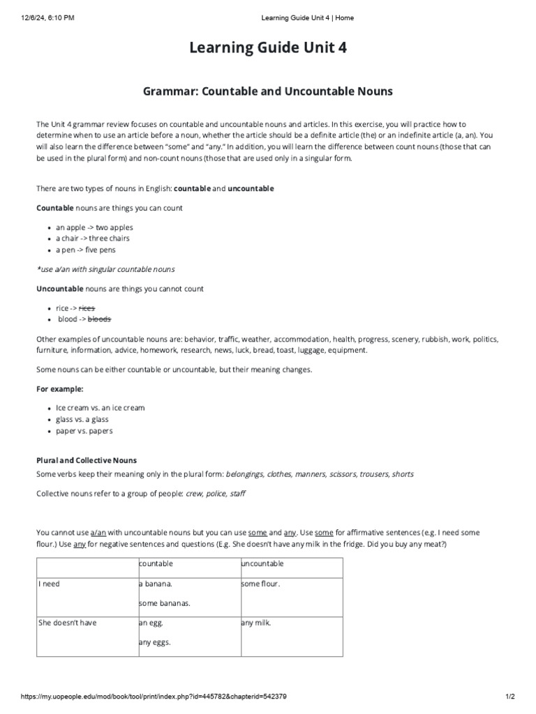 Learning Guide Unit 4 Grammar Countable and Uncountable Nouns | PDF | Noun | Plural