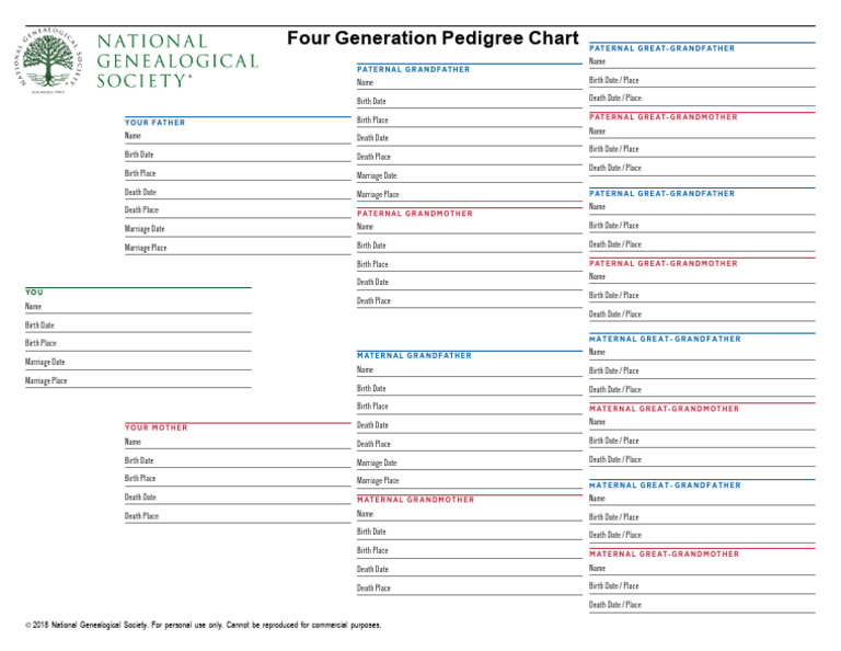 NGS Basic Pedigree Ancestor Chart NGS Final 2 | PDF | Genealogy