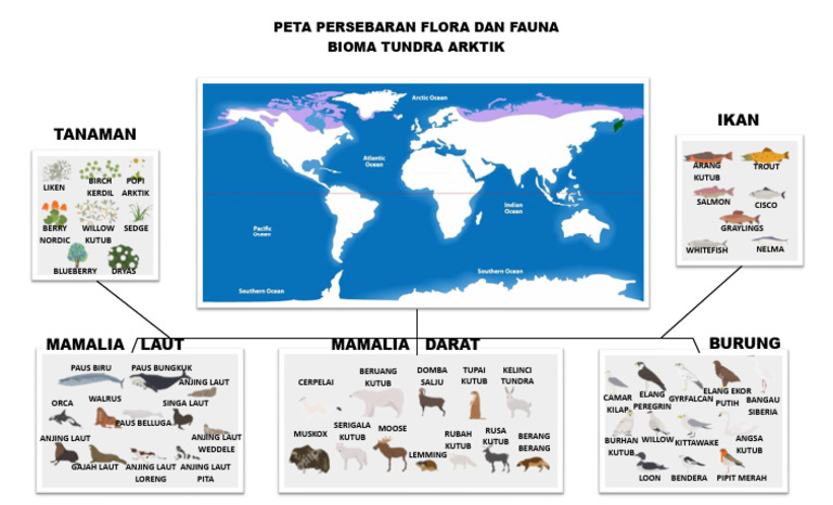 Peta Konsep Tundra | PDF