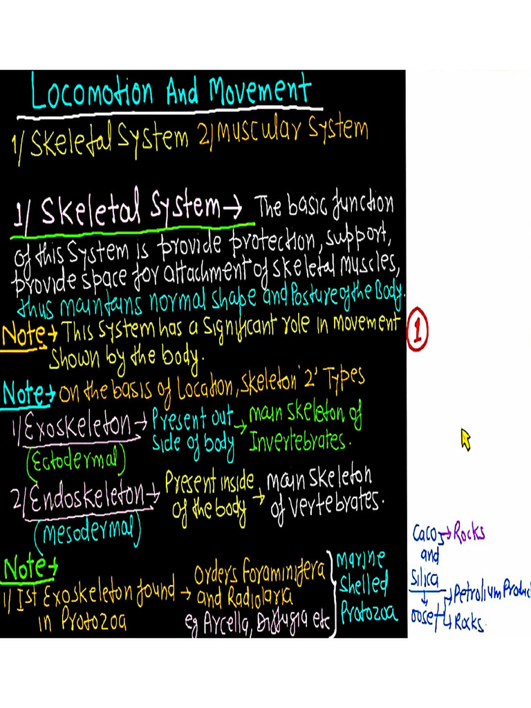 Locomotion and Movement | PDF