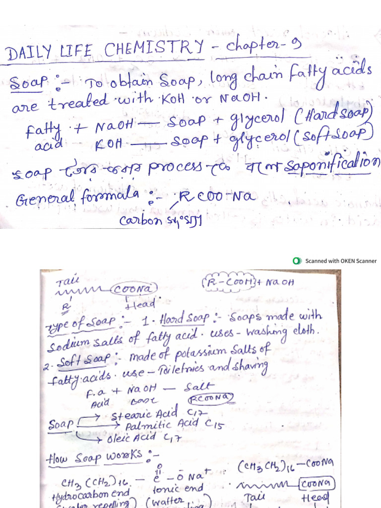 Daily Life Chemistry | PDF