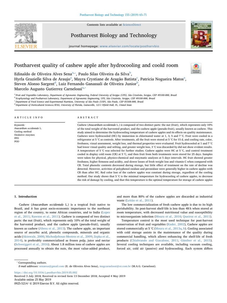 Sena 2019 | PDF | Polyphenol | Apple