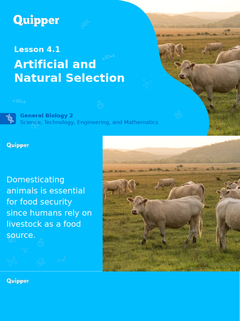 Natural vs. Artificial Selection Explained | PDF | Natural Selection ...