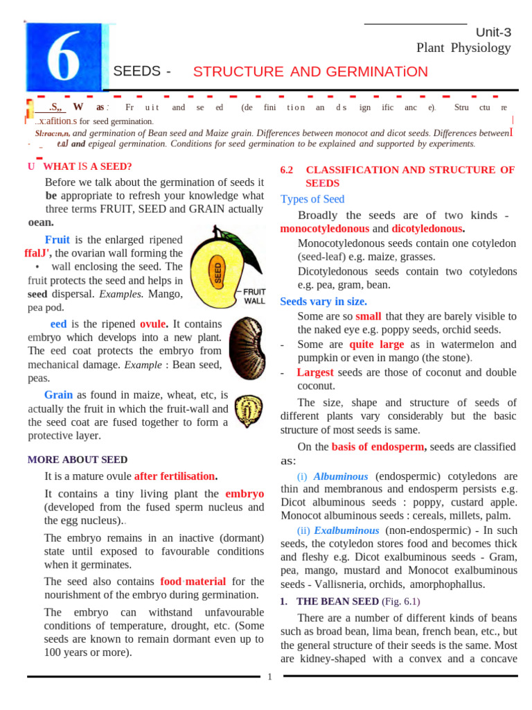 Icse Class 9 Biology Chapter 6 Seed Structure and Germination - 1 | PDF ...