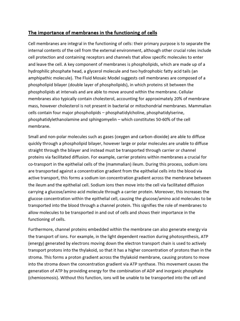 Cell Membranes: Essential Functions | PDF | Cell Membrane | Cell (Biology)