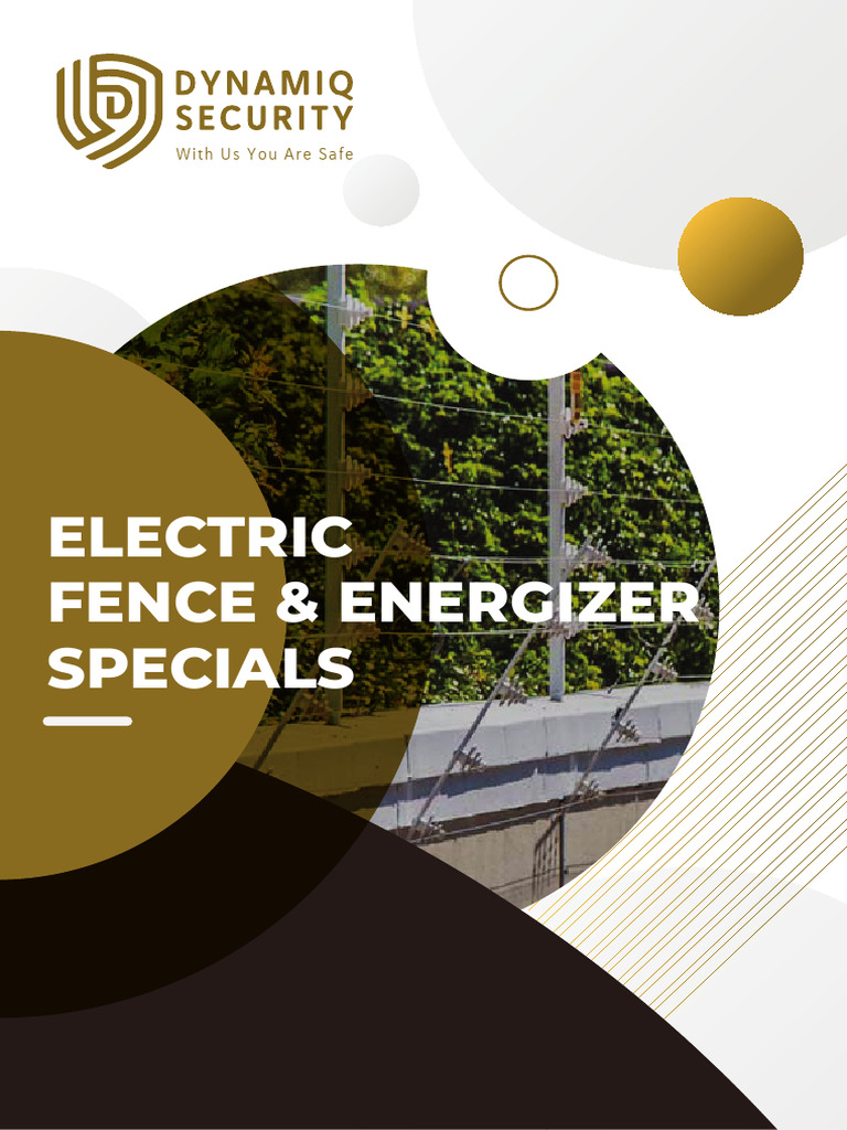 Dynamiq Security - Electric Brochure | PDF