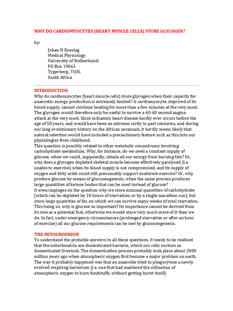 Why Do Cardiomyocytes (Heart Muscle Cells) Store Glycogen | PDF ...