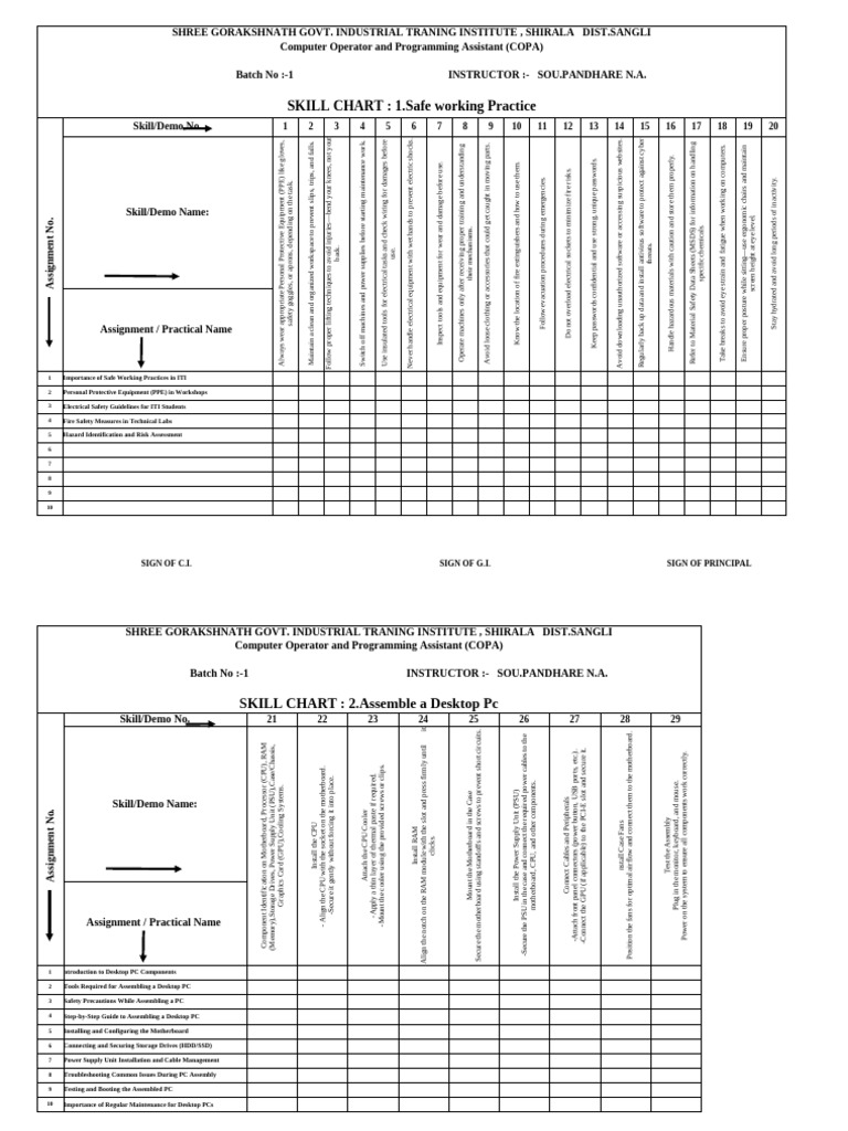 Skill Chart 2024-25 Batch 1 | PDF | Personal Computers | Desktop Computer
