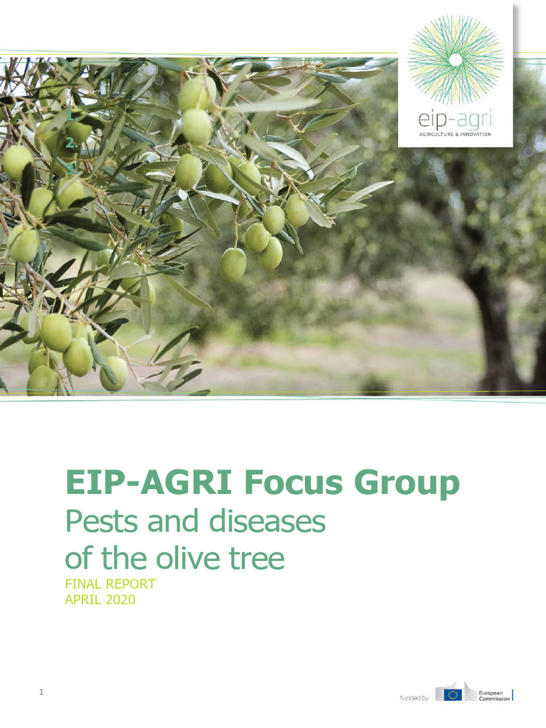 Olive Tree Pest Management Report 2020 | PDF | Agriculture | Pest ...