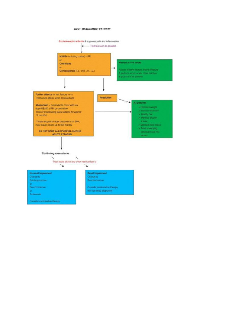 Gout Management Pathways | PDF