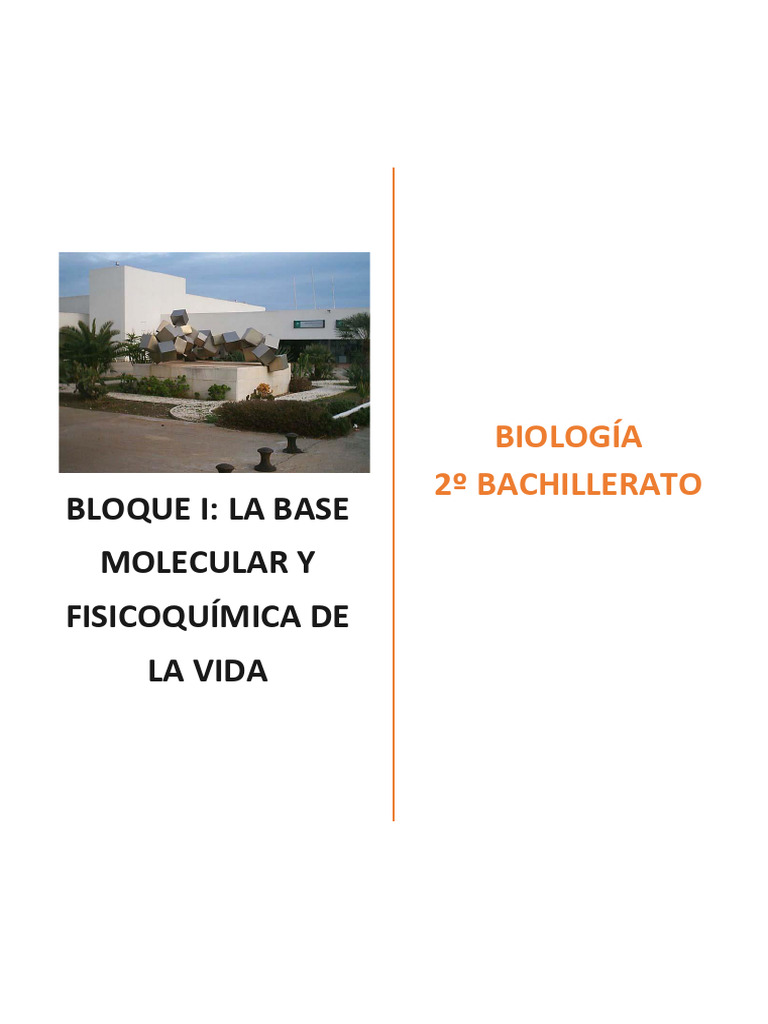 BLOQUE I (Bioquímica) | PDF | Polisacárido | Carbohidratos