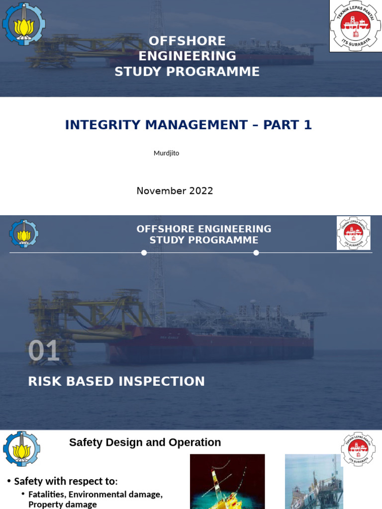 Integrity Platform - 2024 | PDF | Risk | Risk Management