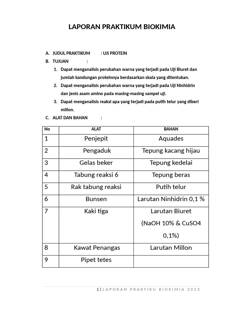 Laprak - Biokim. Uji Protein 2 | PDF