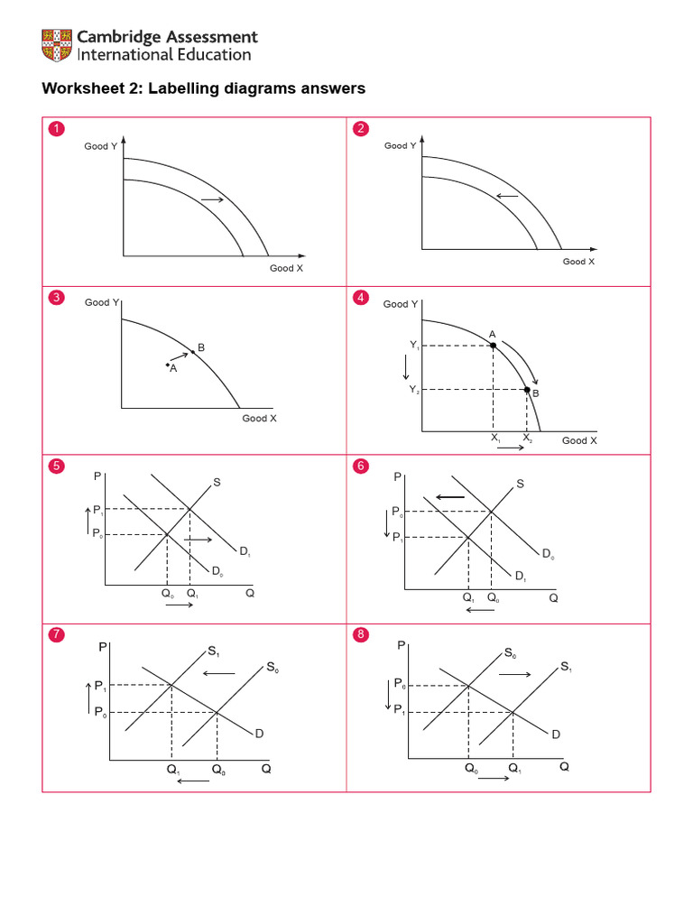AO2 Worksheet 2 Labelling diagrams answers (1) | PDF