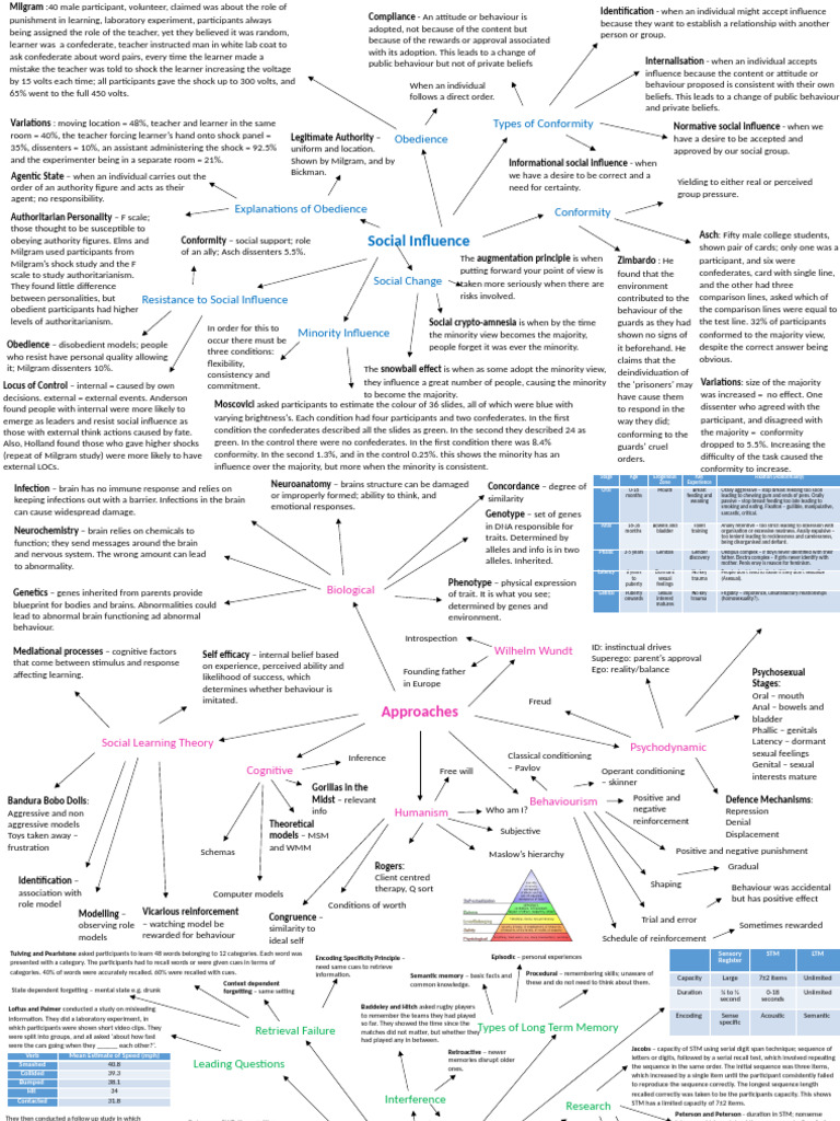 Mind Maps 2 | PDF | Synapse | Neuron