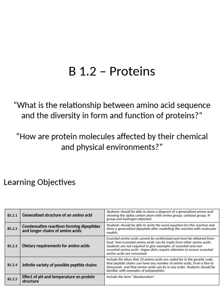 B 1.2 SL+HL Proteins Modified Biosone Presentation | PDF | Protein ...