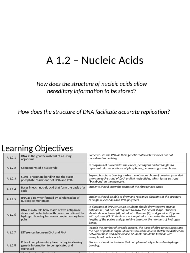 A 1.2 SL+HL Nucleic Acids | PDF | Dna | Nucleic Acids