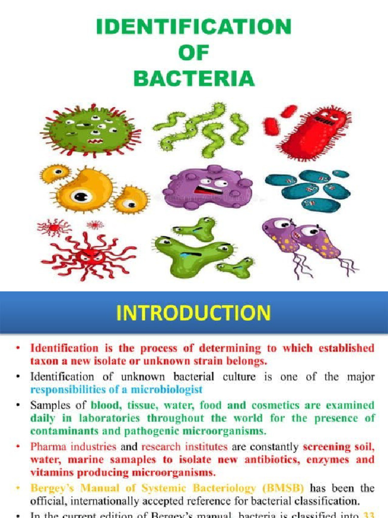 Identification Of Bacteria Pdf
