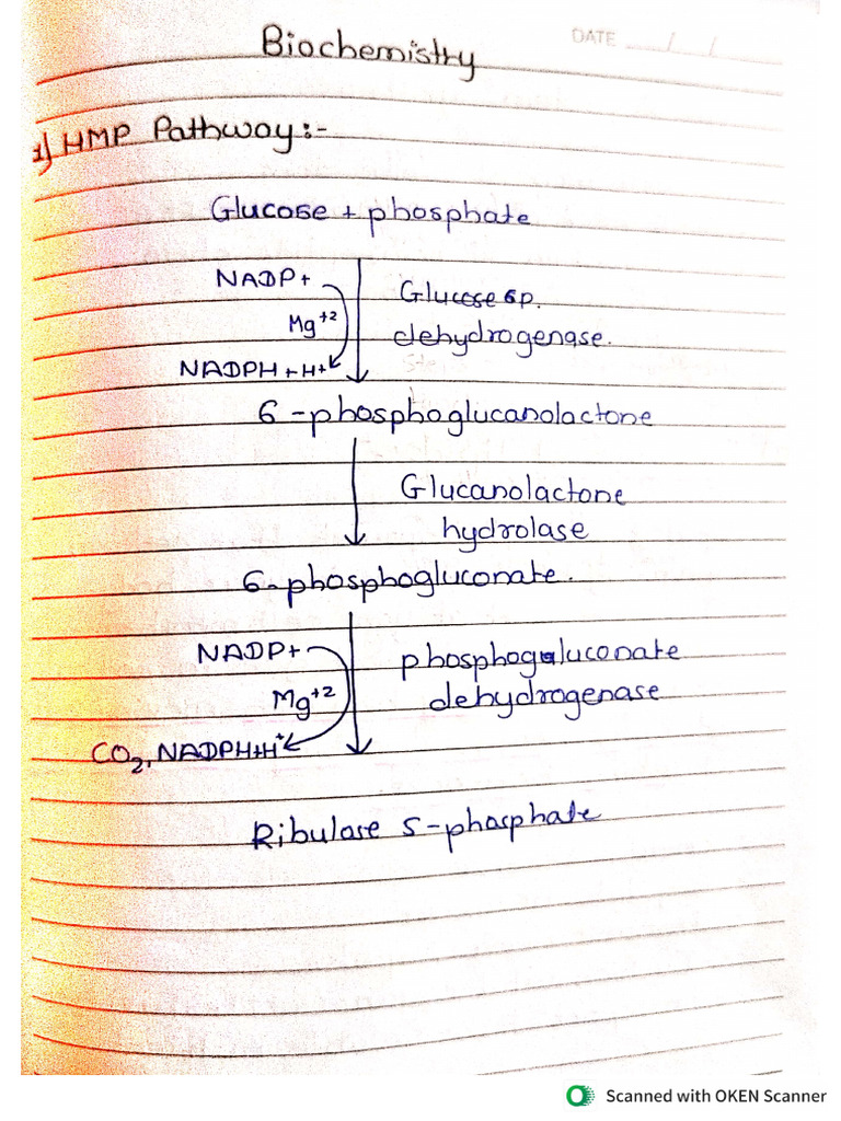 Biochemistry | PDF