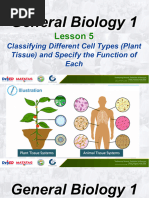 Notes of CH 6 Plant Tissues - Class 9th Science | PDF | Tissue (Biology ...