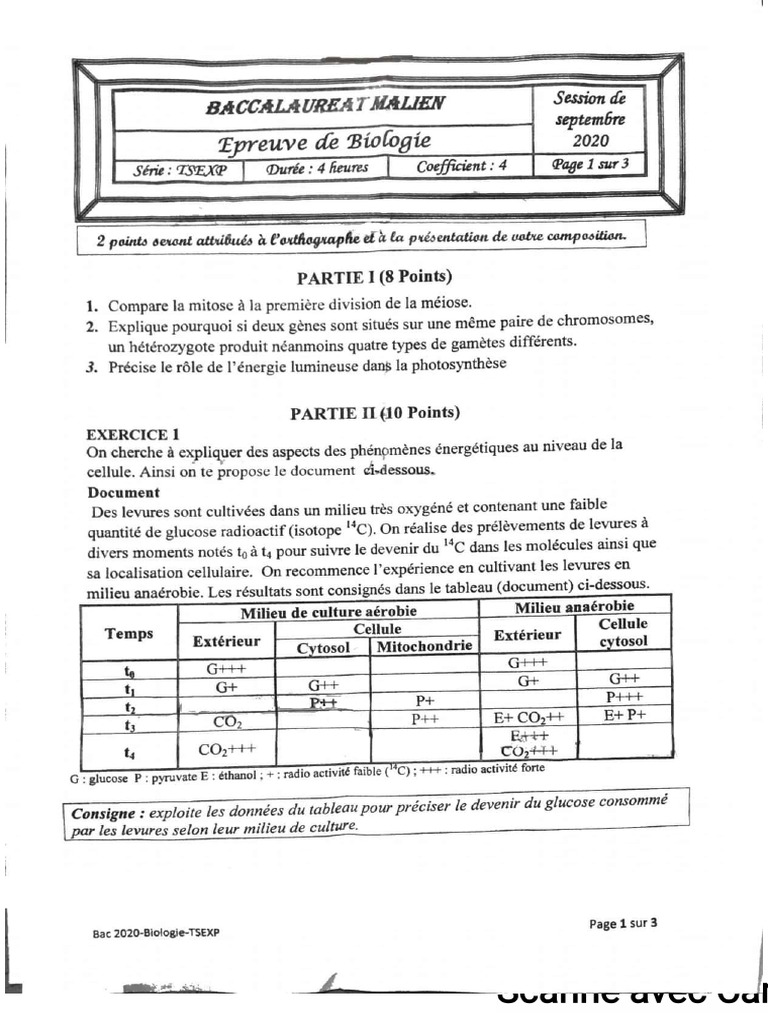 BAC TSexp Biologie 2020 | PDF