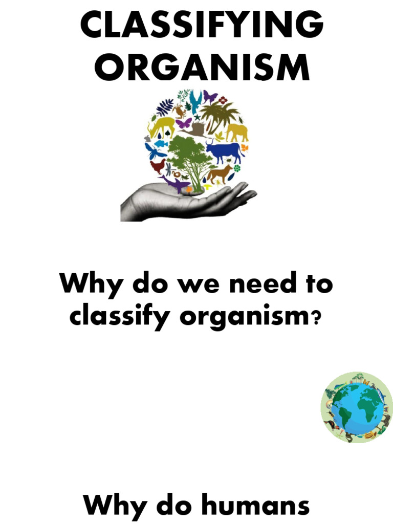 Lesson 3 Classifying Organism | PDF | Archaea | Organisms