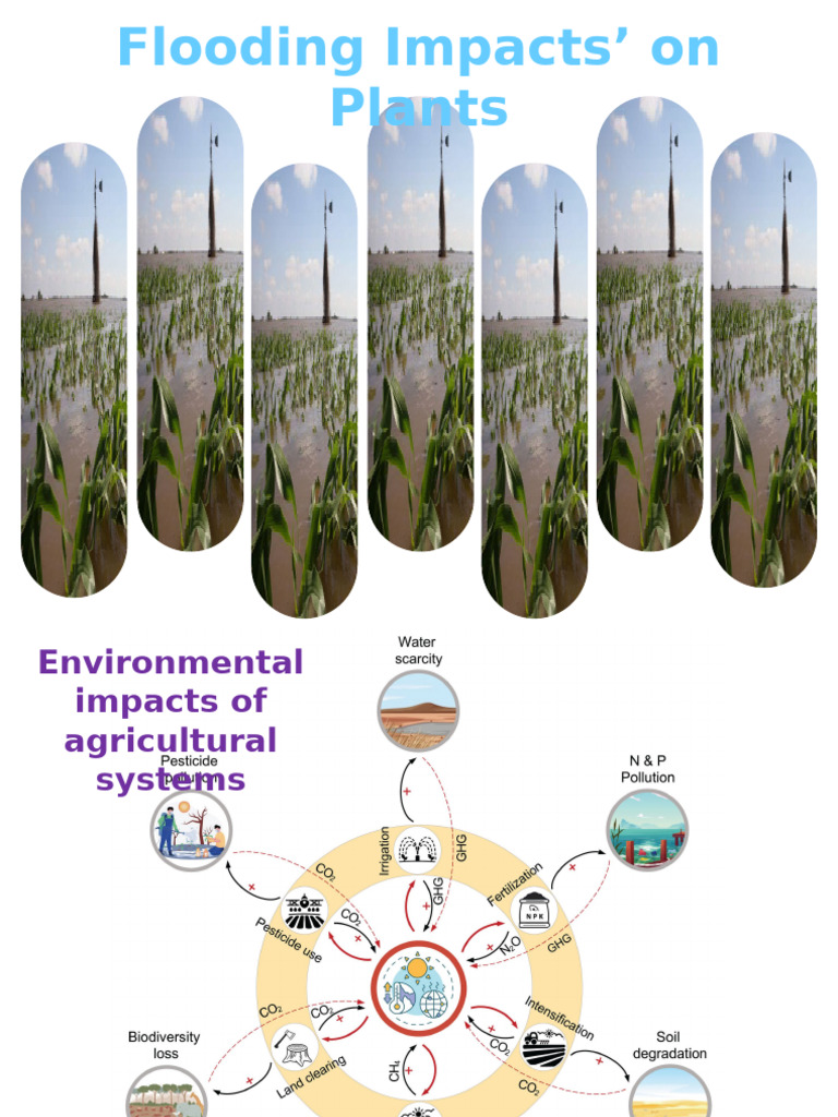 Presentation - Ashim Kumar Das | PDF