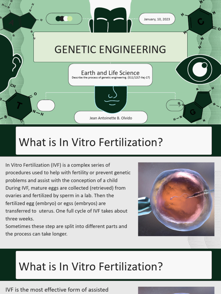 Genetic Engineering and IVF Overview | PDF | Genetic Engineering | In ...