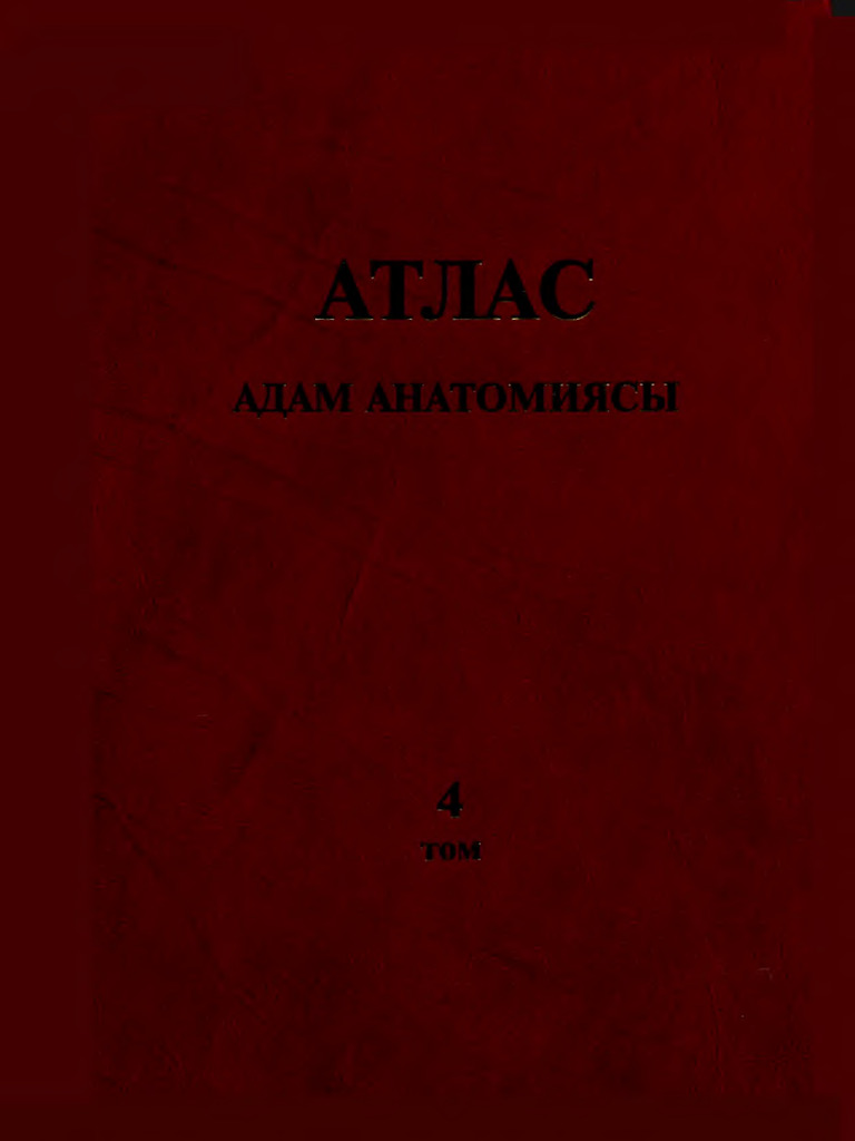 Aubakirov 4 Tom | PDF