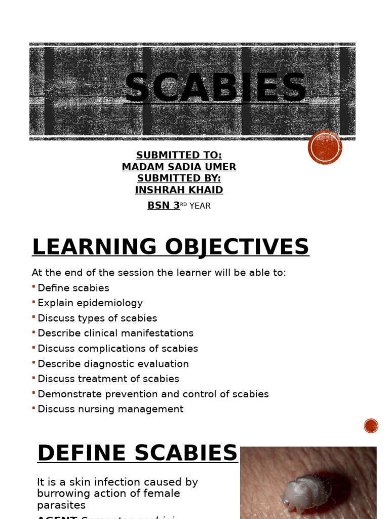 Scabies 1 | PDF | Causes Of Death | Diseases And Disorders