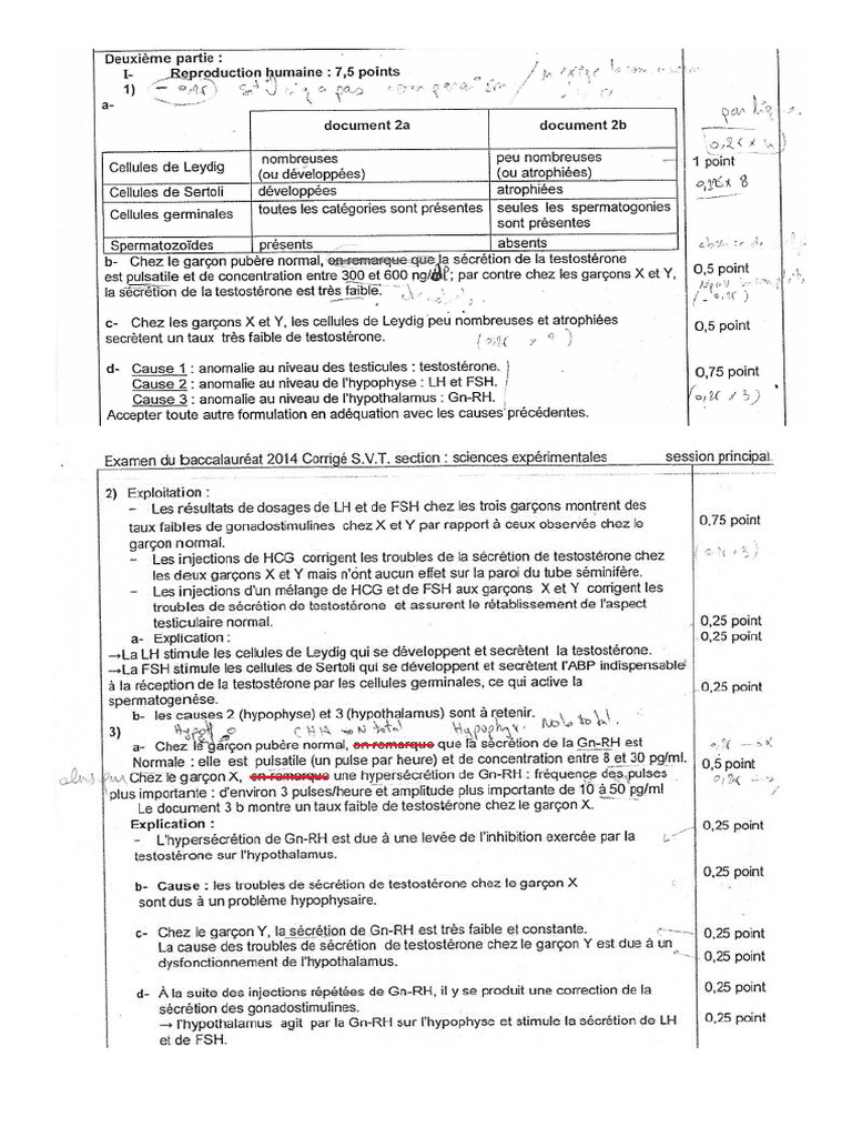 Correction Principal 2014 | PDF