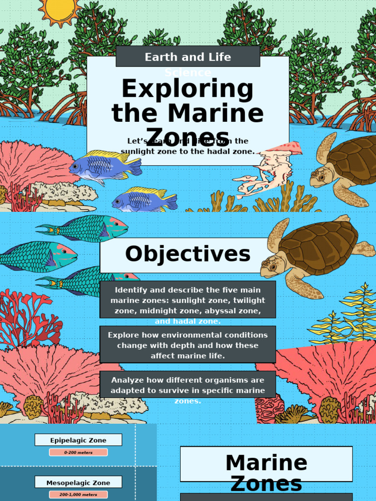 Marine Zones | PDF | Deep Sea | Coral Reef