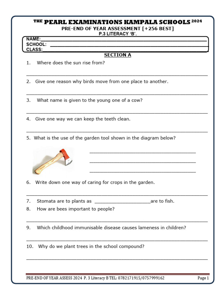 Pearl Pre-End of Year Lit1 B 2024 | PDF