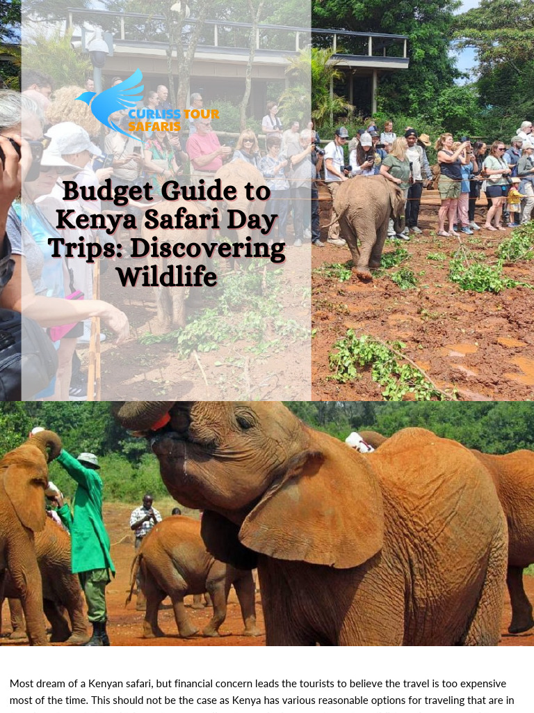 Budget Guide To Kenya Safari Day Trips Discovering Wildlife | PDF