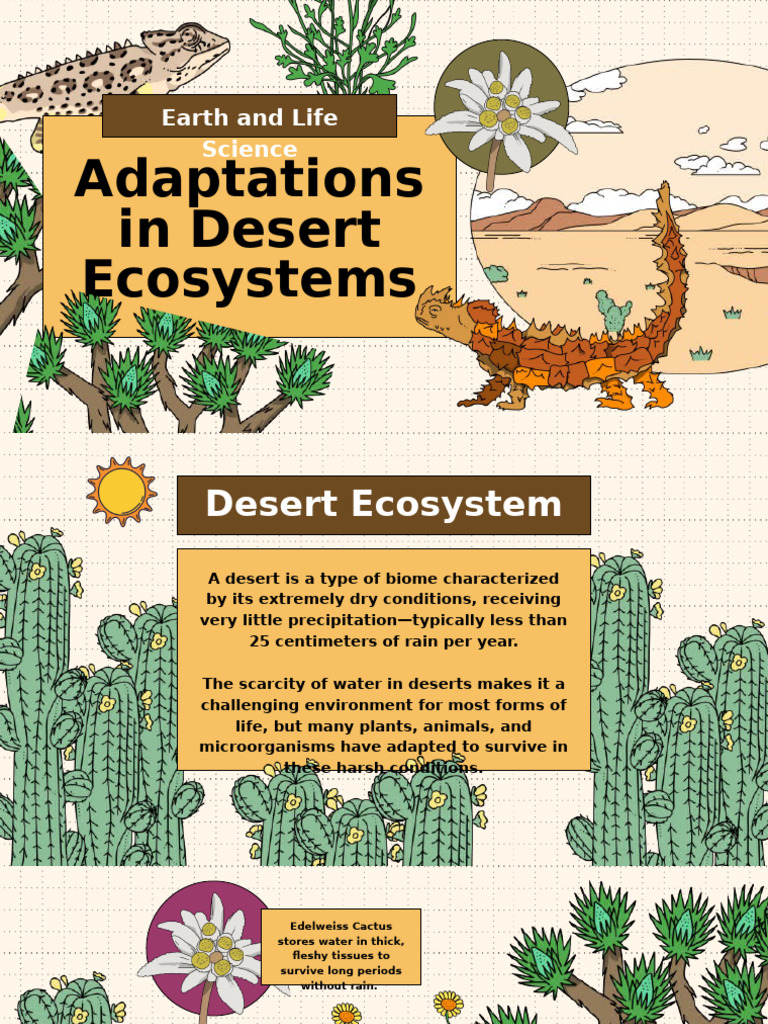 Adaptations in Desert Ecosystems | PDF | Desert | Predation