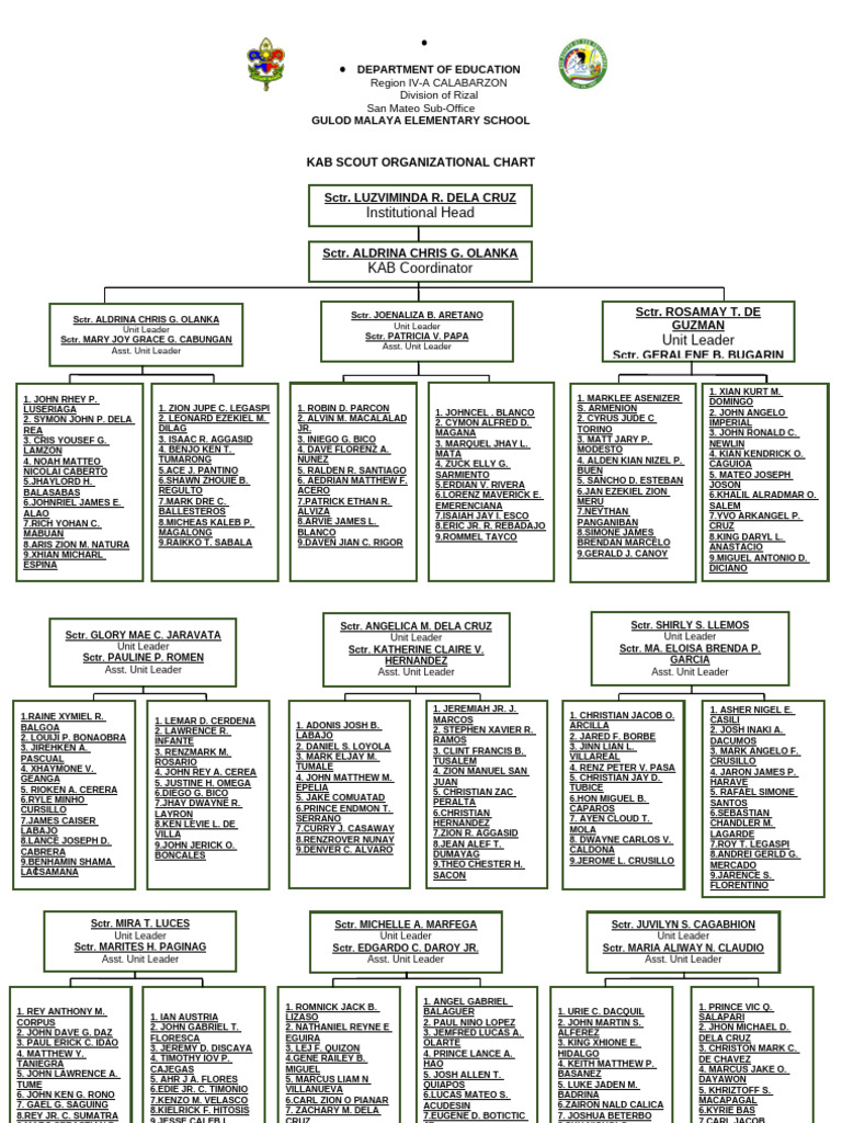 Organizational Chart of BSP Scout | PDF