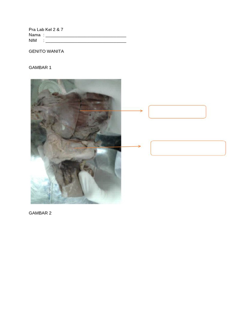 Pra Lab Kel 2 & 7 Fathan Akbar | PDF