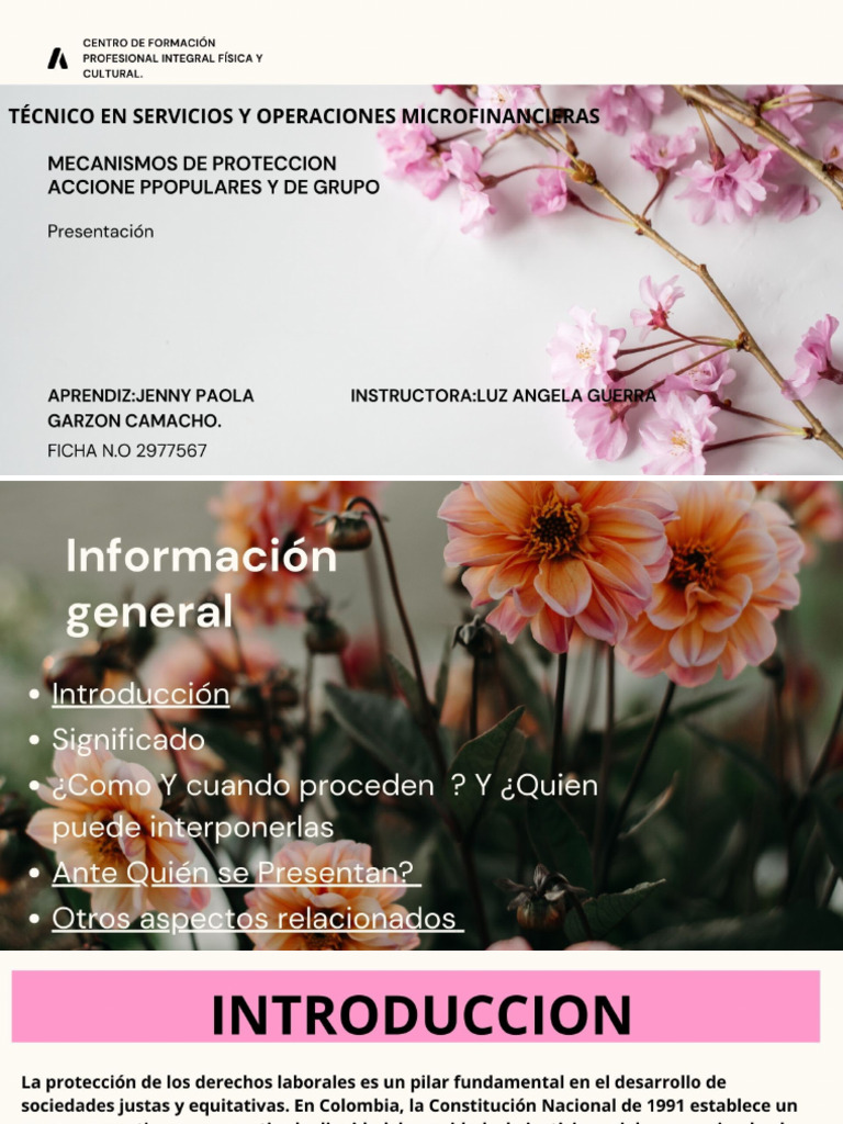 Presentaciones, Exposición Tema Acciones Populares y e Grupo | PDF