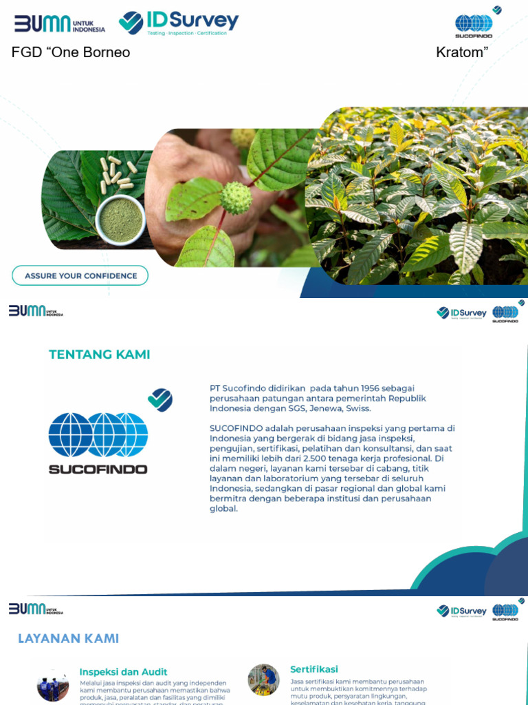 FGD Pemenuhan Standar Teknis Ekspor Kratom Di Pulau Kalimantan | PDF