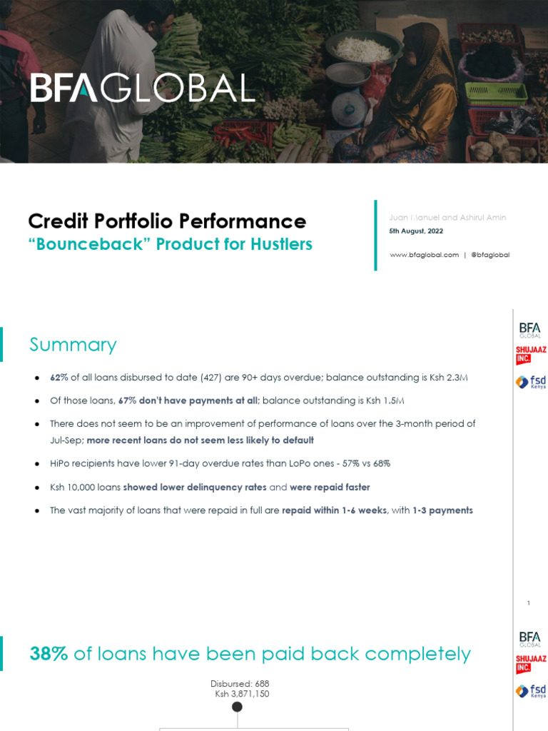 Credit Portfolio Performance Insights | PDF | Loans | Juvenile Delinquency