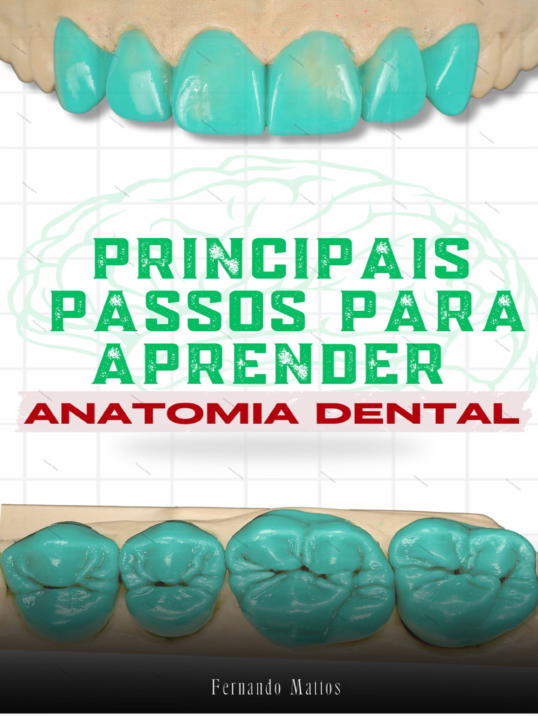 Ebook Anatomia Dental Pdf